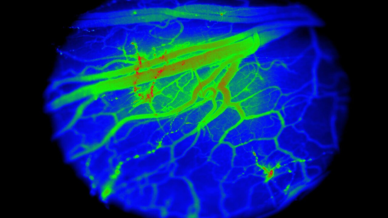 Plateformes | UTCBS - Unité de Technologies Chimiques et Biologiques ...